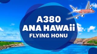 【ハワイ】ANAフライングホヌのビジネスクラス（ホノルル→成田便）に搭乗してきました - ひやまんブログ